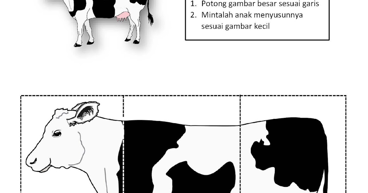 Puzzle Sapi 3 Bagian