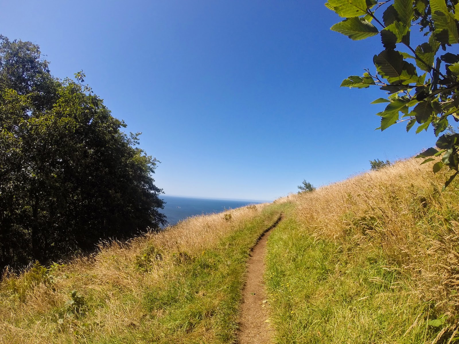 Hiking the Great Northwest: Cascade Head Hike