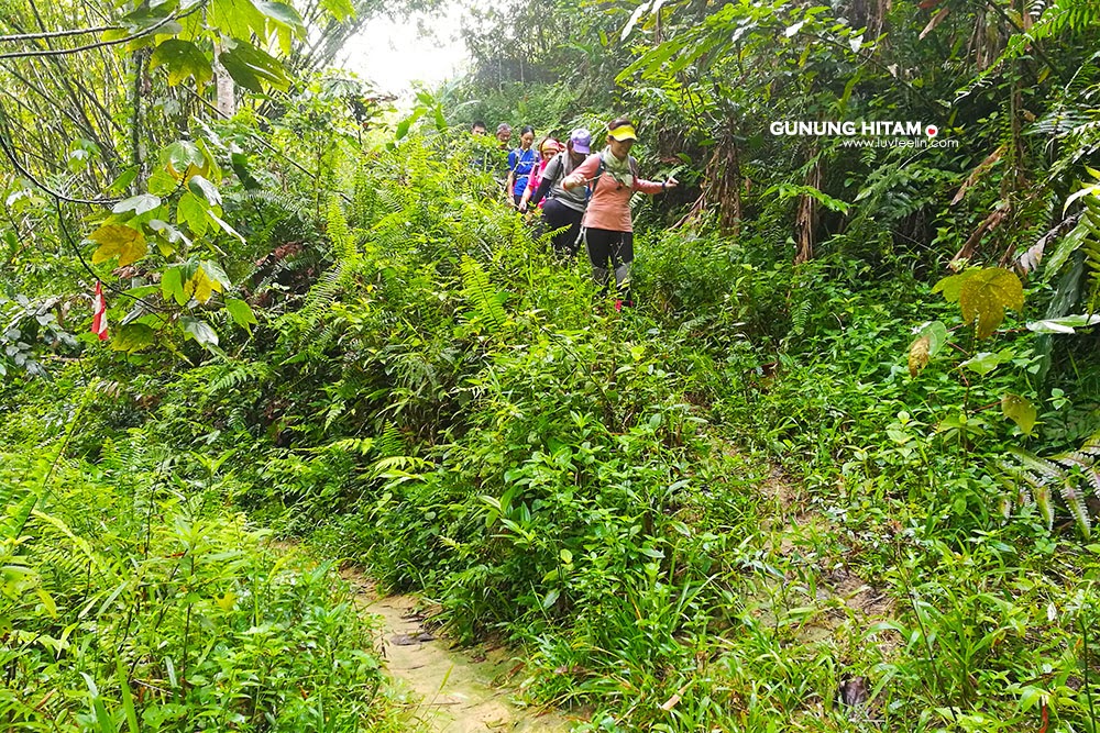Gunung Hitam 包你爬到脸黑黑的水蛭山 - 乐飞翎 ♥ LUVFEELIN