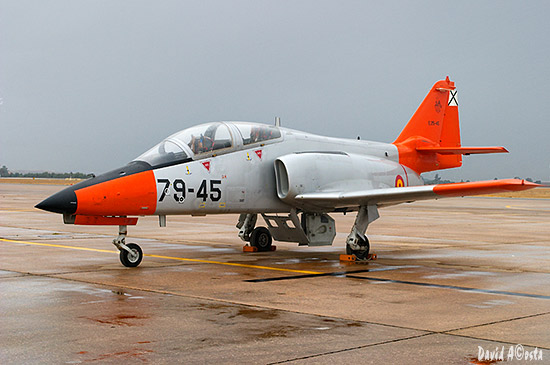 BIENVENIDOS A LOS MEJORES FORD MUSTANG DEL MUNDO: AVIONES DE COMBATE