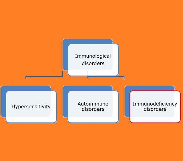 Dental School: Immune Deficiency and Oral Diseases