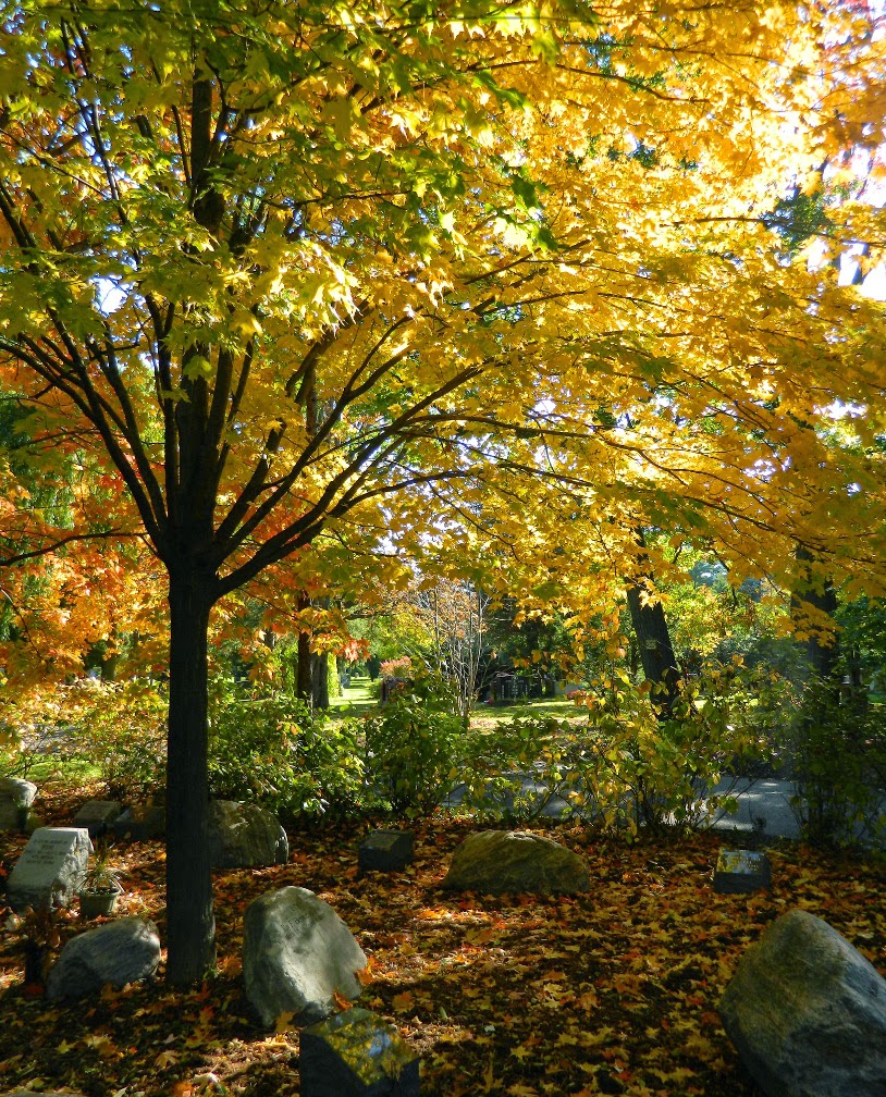 Garden Muses: A Small Toronto Gardening Services Company Blog: Autumn ...