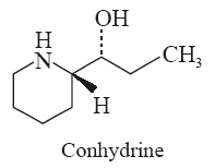 Alkaloids Derived from Amination Reactions