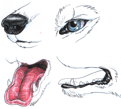 Suola Kuupielessä: Nara piertelee, osa 4 - Yksityiskohdat nopeasti