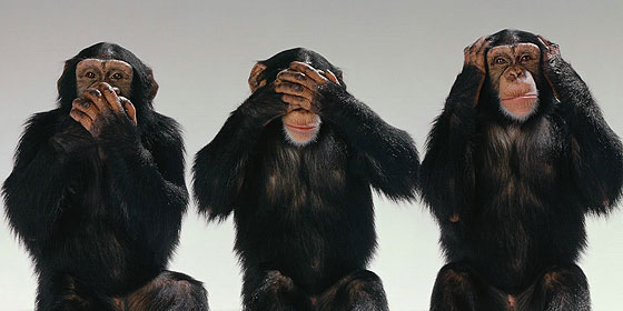 Blog del Productor: 2011