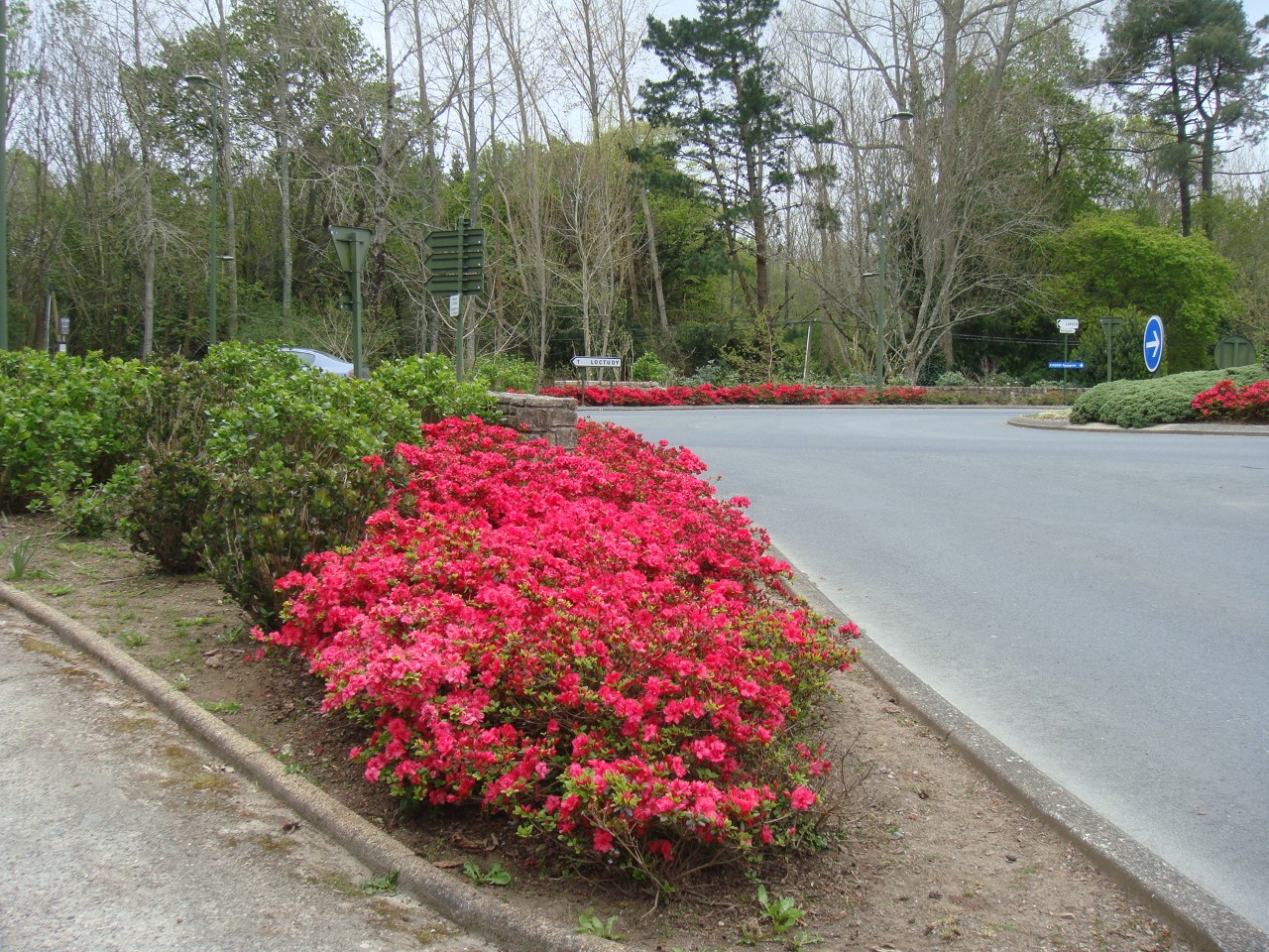 Le blog de Parcs et Jardins de L'Oise: Rond-points fleuris