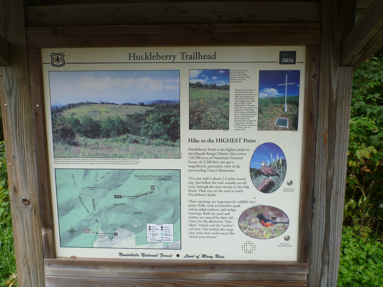 GSMNP - HIKER: Hike To Huckleberry Knob In North Carolina