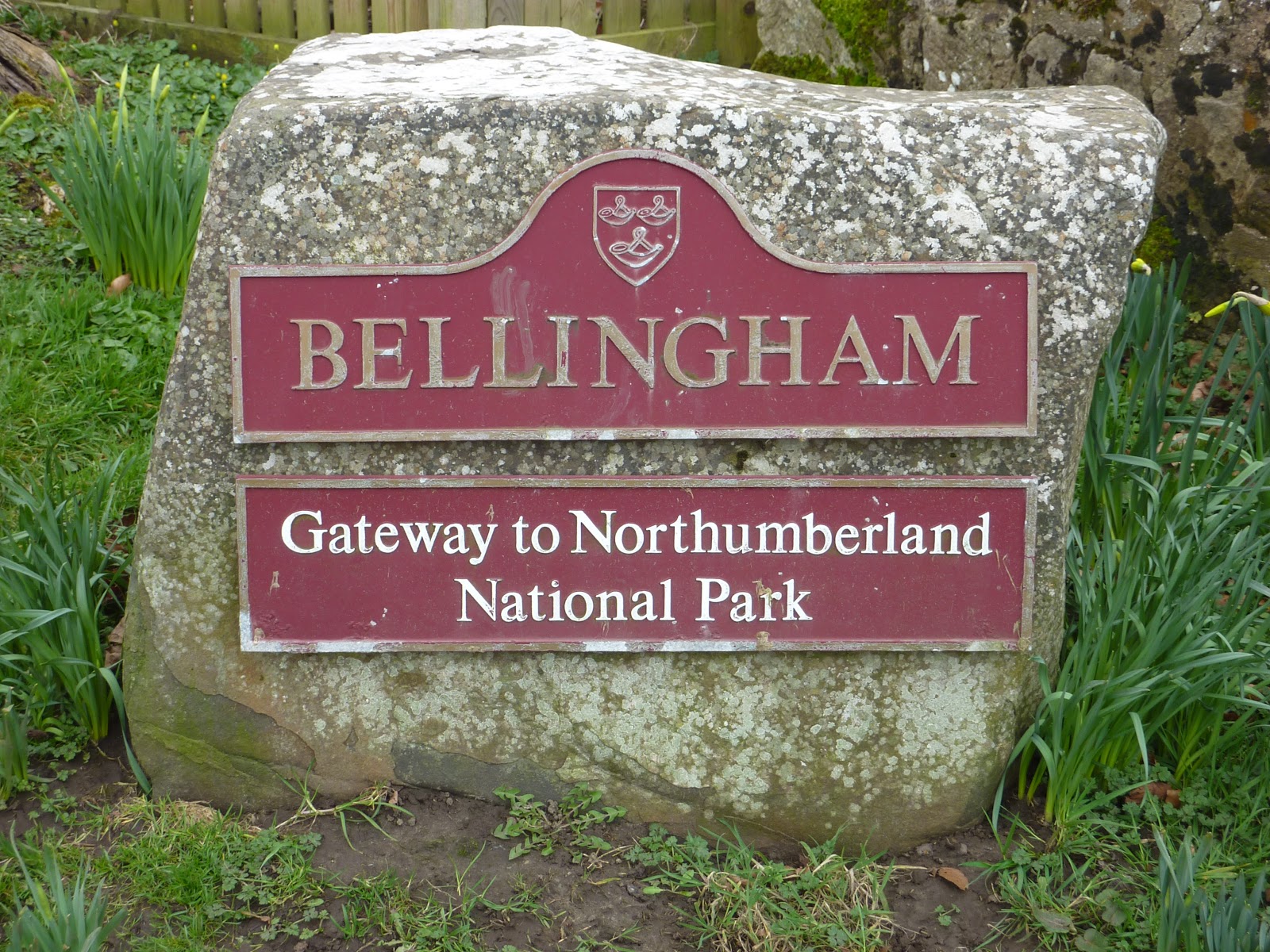 Old Age Travellers.: Bellingham Northumberland.
