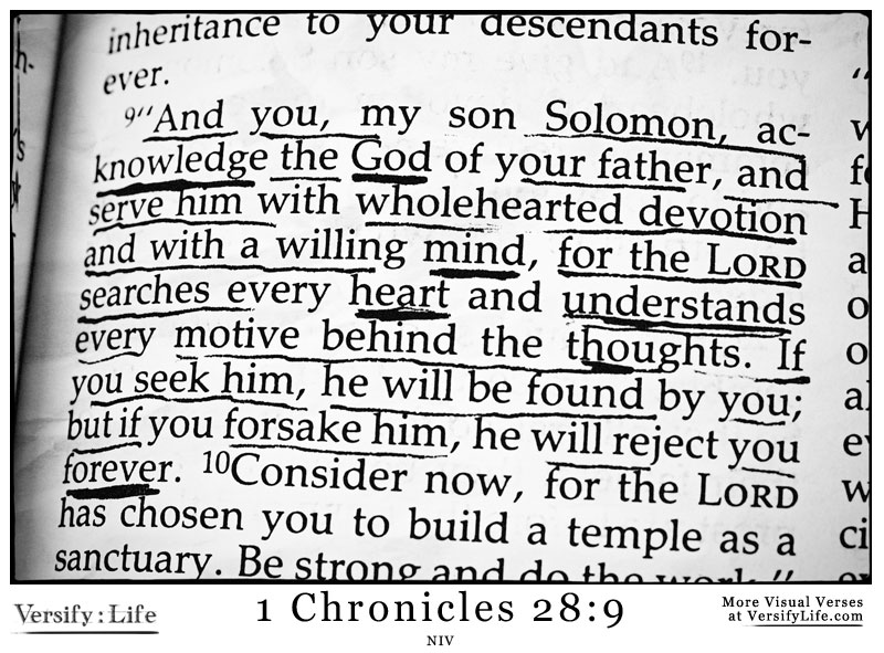 Allacin's Free Illustrated Summaries of Christian Classics: 1 CHRONICLES+—An Illustrated Summary ...