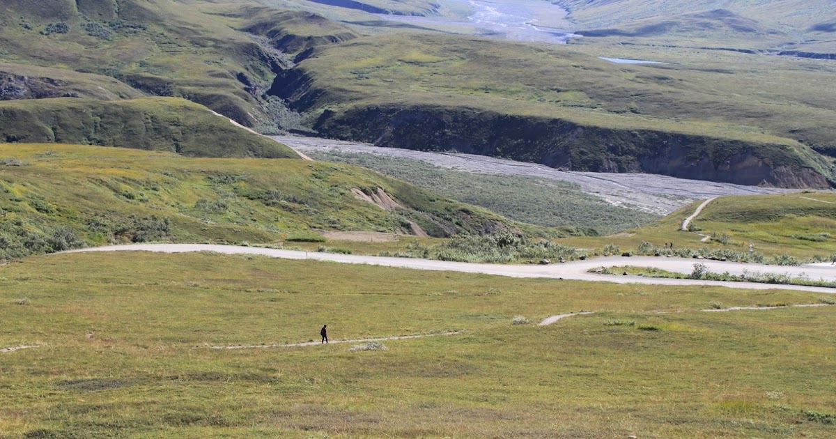 RealPrimalConnection: On the Red Road