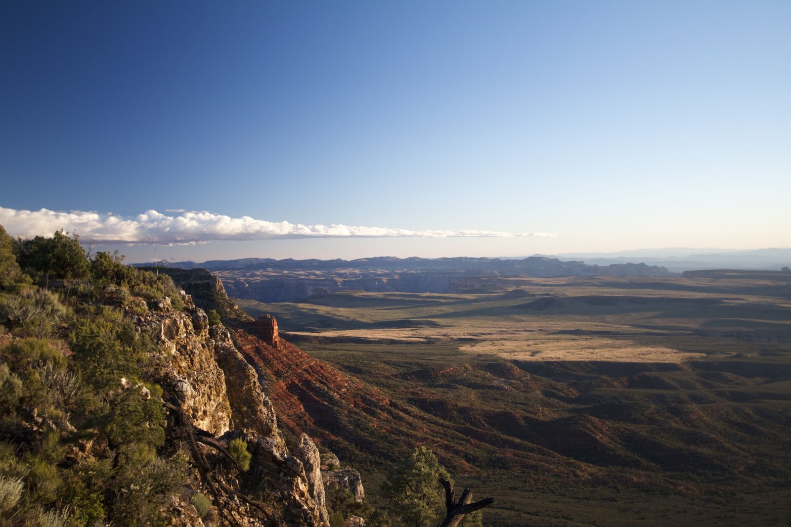 Running From Moose: The Arizona Strip: Snap Point