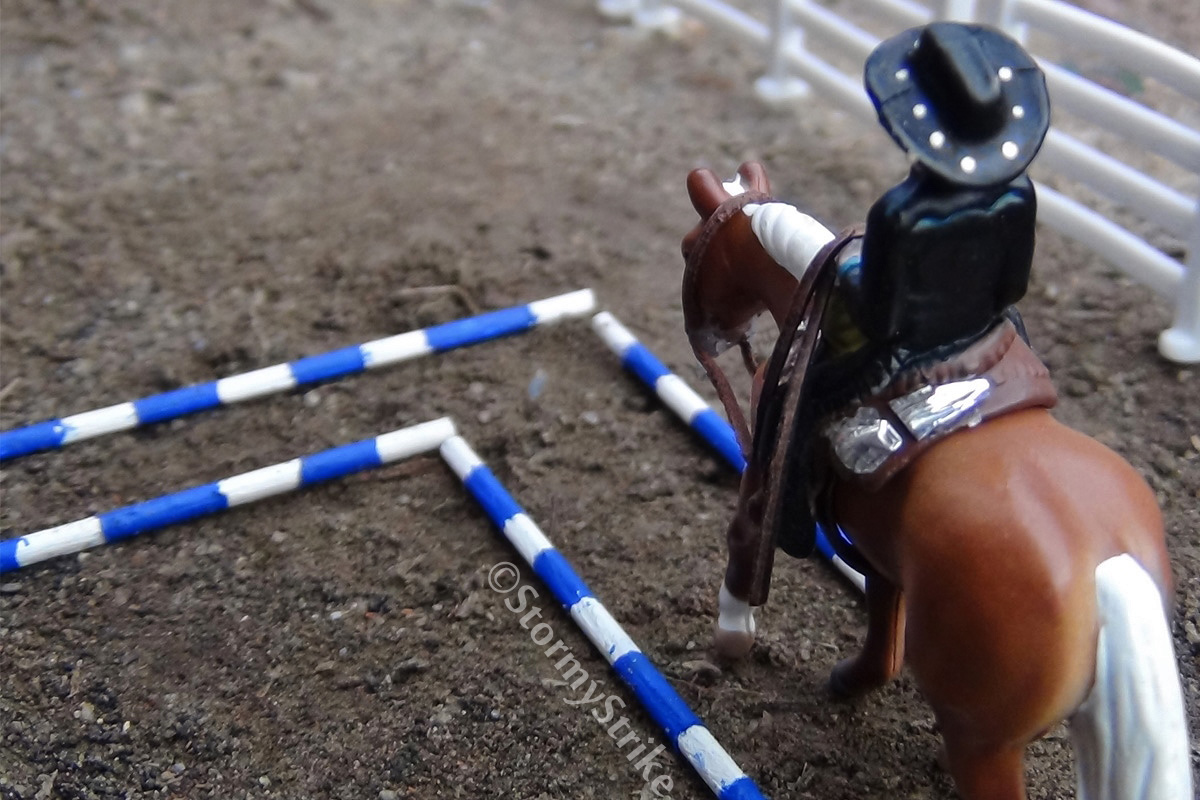 Stormy Strike's Blog: Micro Mania Photo Show Results