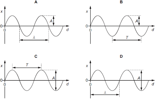 A wave has period T, wavelength λ and amplitude A. The wave is shown on ...