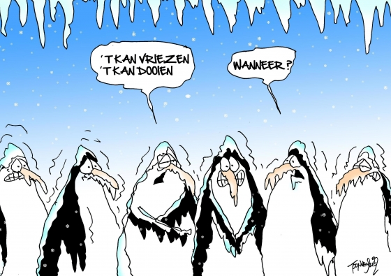 Quibi Quilts: Woensdag Wijsheid