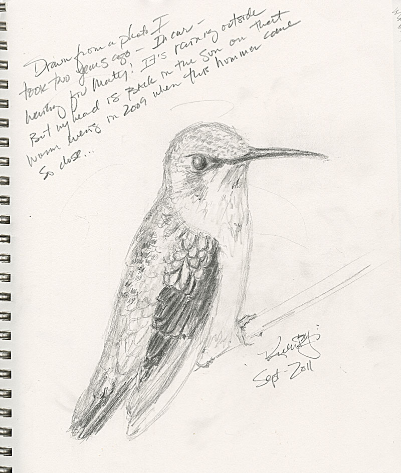 Red and the Peanut: My hummingbirds are not always angelic...