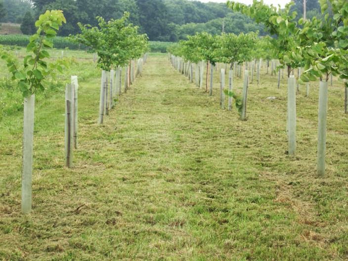 Do you need help with the Forest Retention Area in Hagerstown, MD or ...