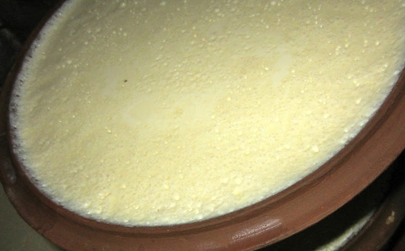 Taste of Nepal: Juju Dhau (The King Yogurt from Bhaktapur, Nepal)