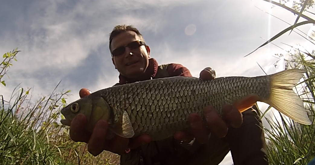 Les teignes sont de sortie ...