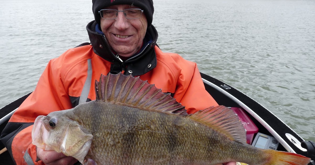 46 cm baars is één bonk pure kracht. | Predator Fisher Johan.nl