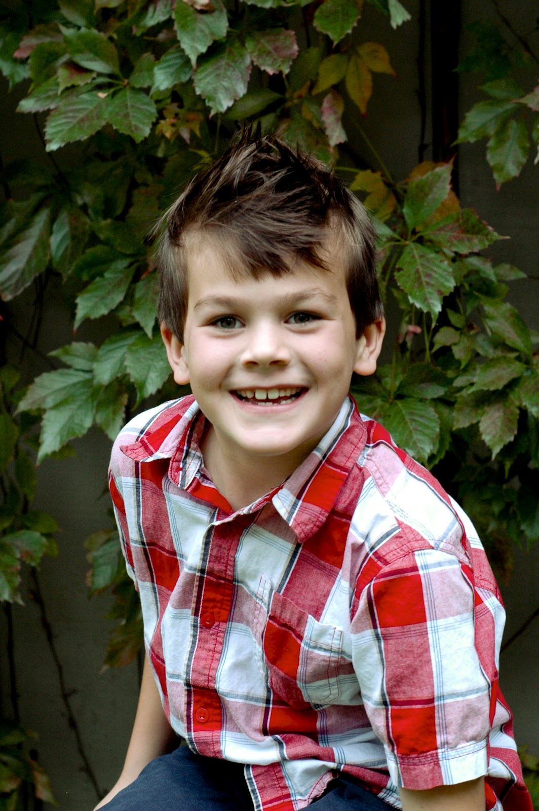 The Fox and the Hounds: Liam boy