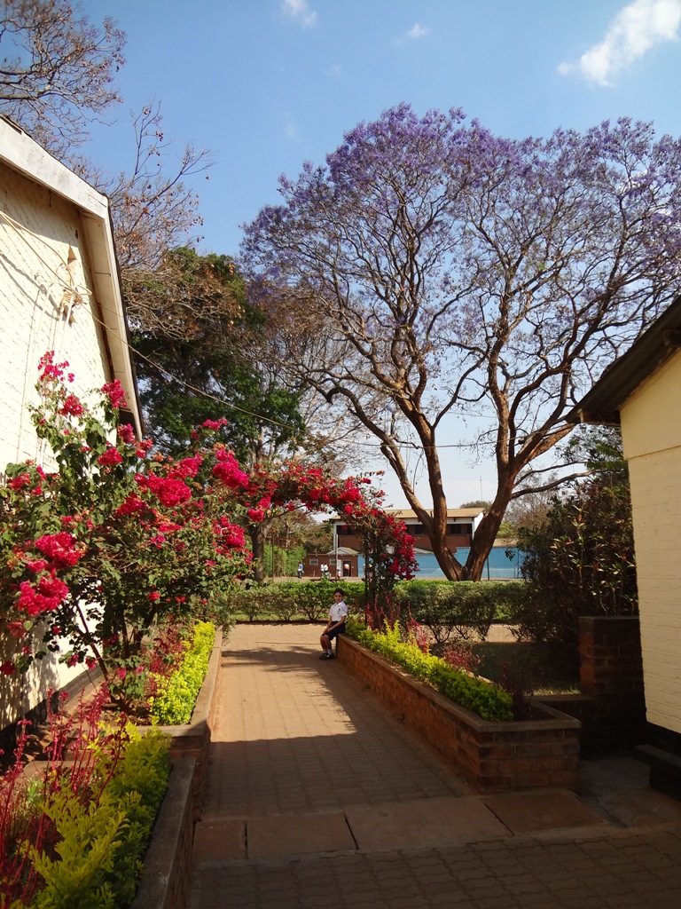 Nordic Explorers: Joel and Emma on Bishop Mackenzie International School
