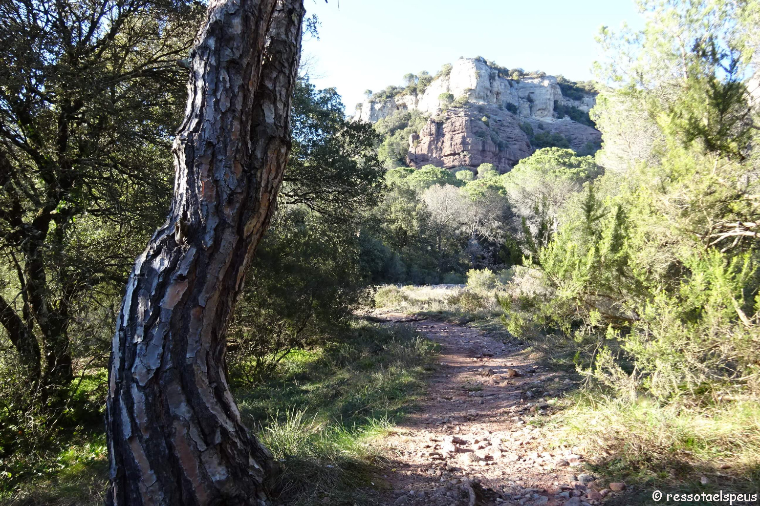 res sota els peus: Els cingles de Vilanova i el puig del Far