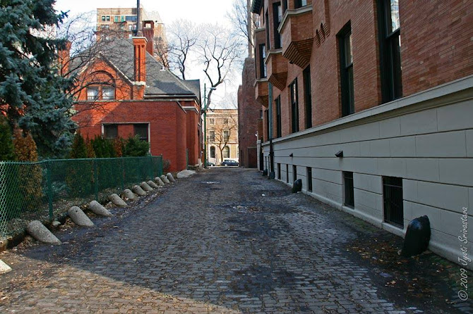 The Digital Research Library of Illinois History Journal™ : Chicago's ...