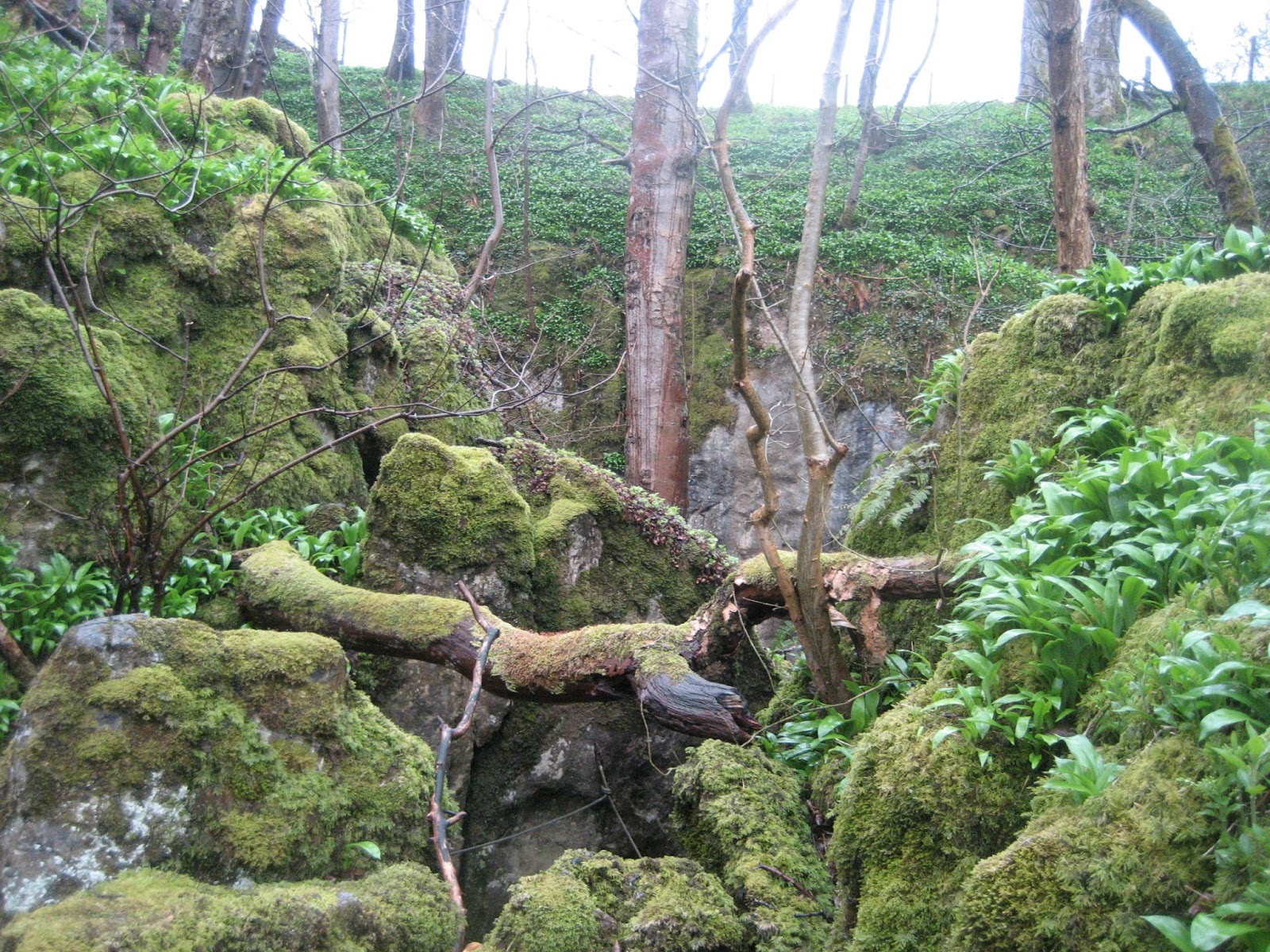 A Three Peaks Up and Under