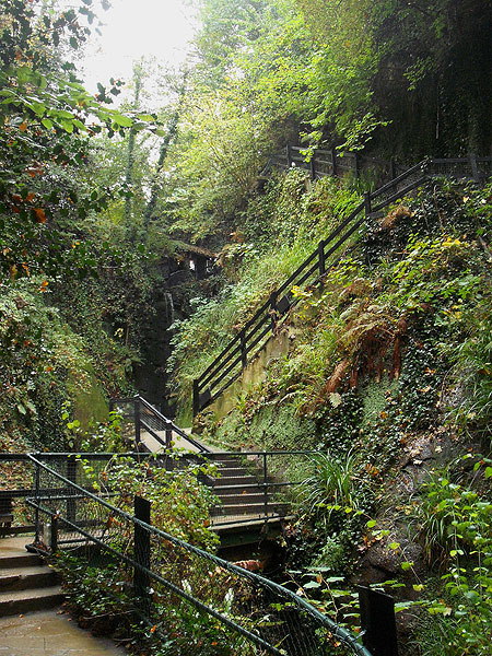JSBlog - Journal of a Southern Bookreader: Shanklin Chine