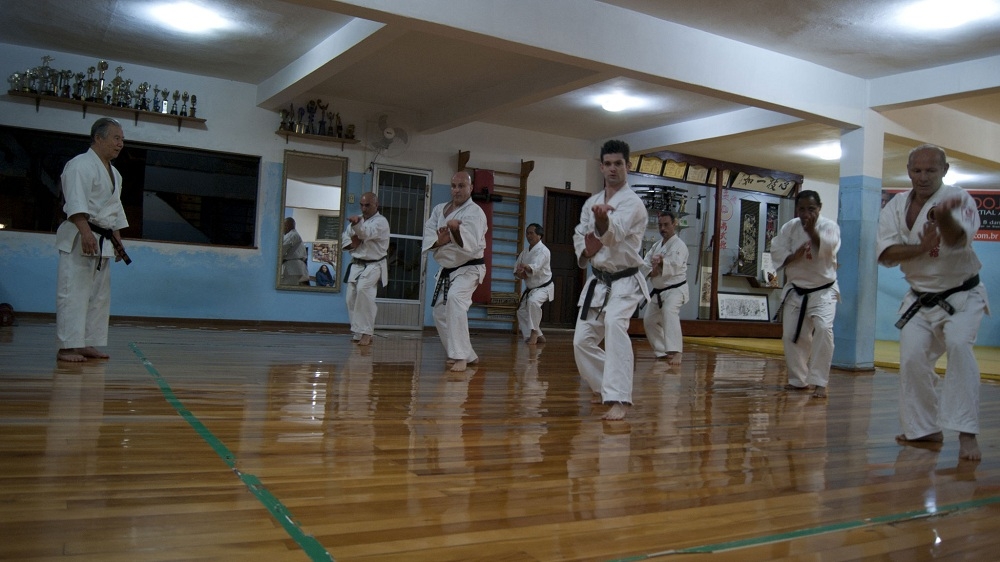 Okinawa Karate-do Goju-Ryu: GOJU RYU UMA ARTE FANTÁSTICA