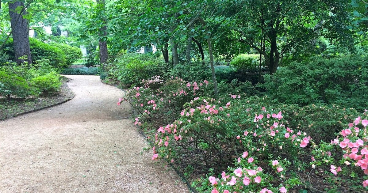 The Bayou Botanist: Events in Houston: Azaleas, a Regatta, and the French!