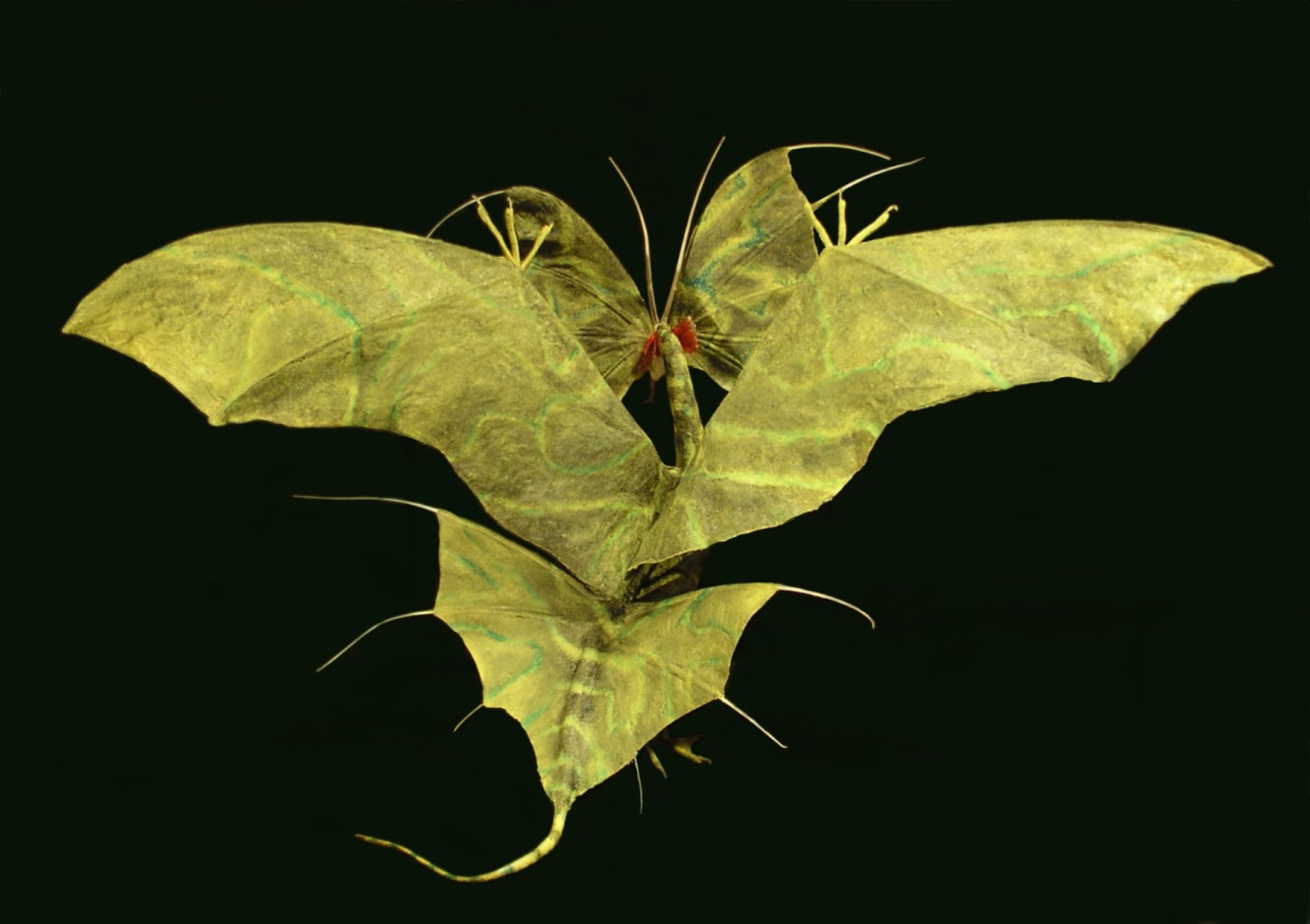 David Martins' The Realistic Fly: The Dragon Fly