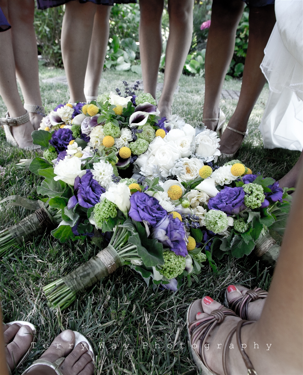 Terry Way Photography Santa Cruz Photographer: Rancho Soquel Wedding ...