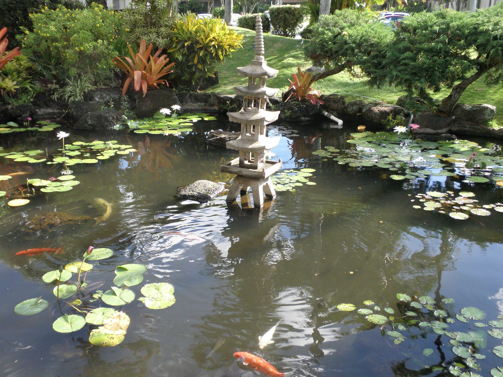 An Unfittie's Guide to Adventurous Travel: Weekend Reflections: Pono ...