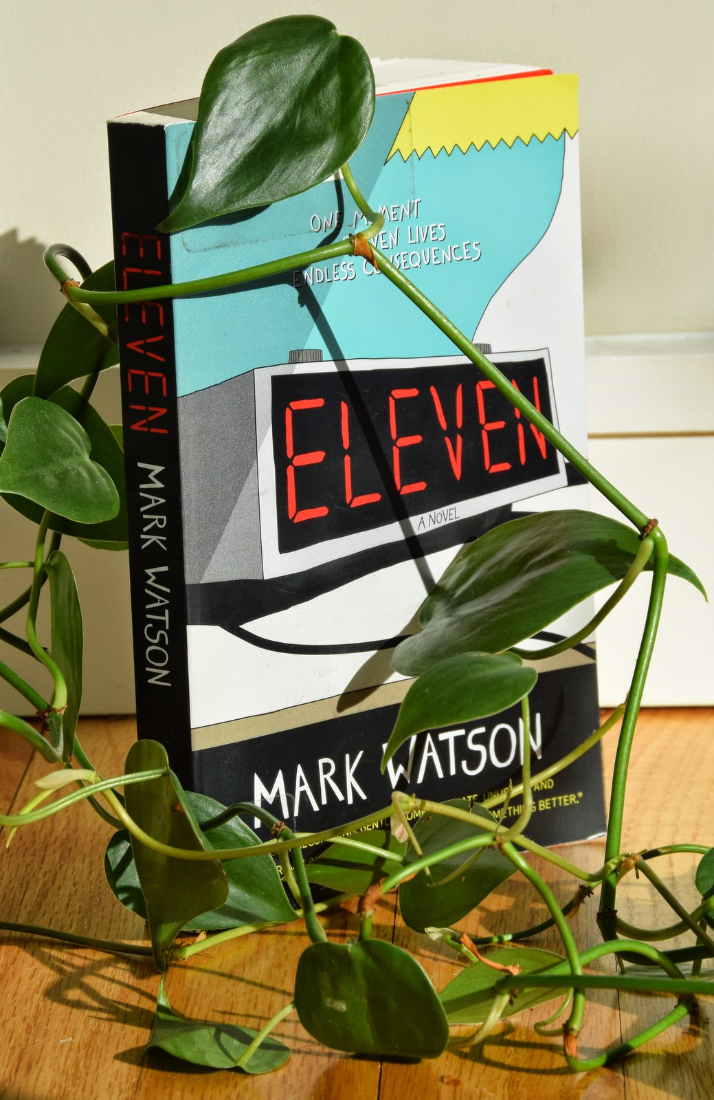 Book Discussions: Eleven Book Discussion Guide