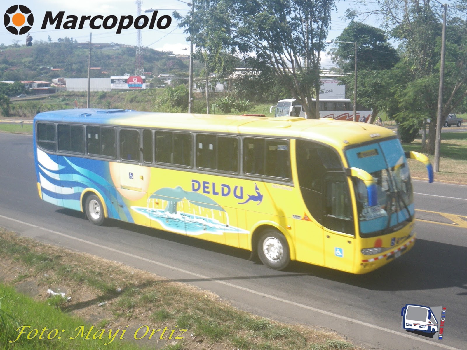 BUSES TICOS: 8va GALERIA - 2016