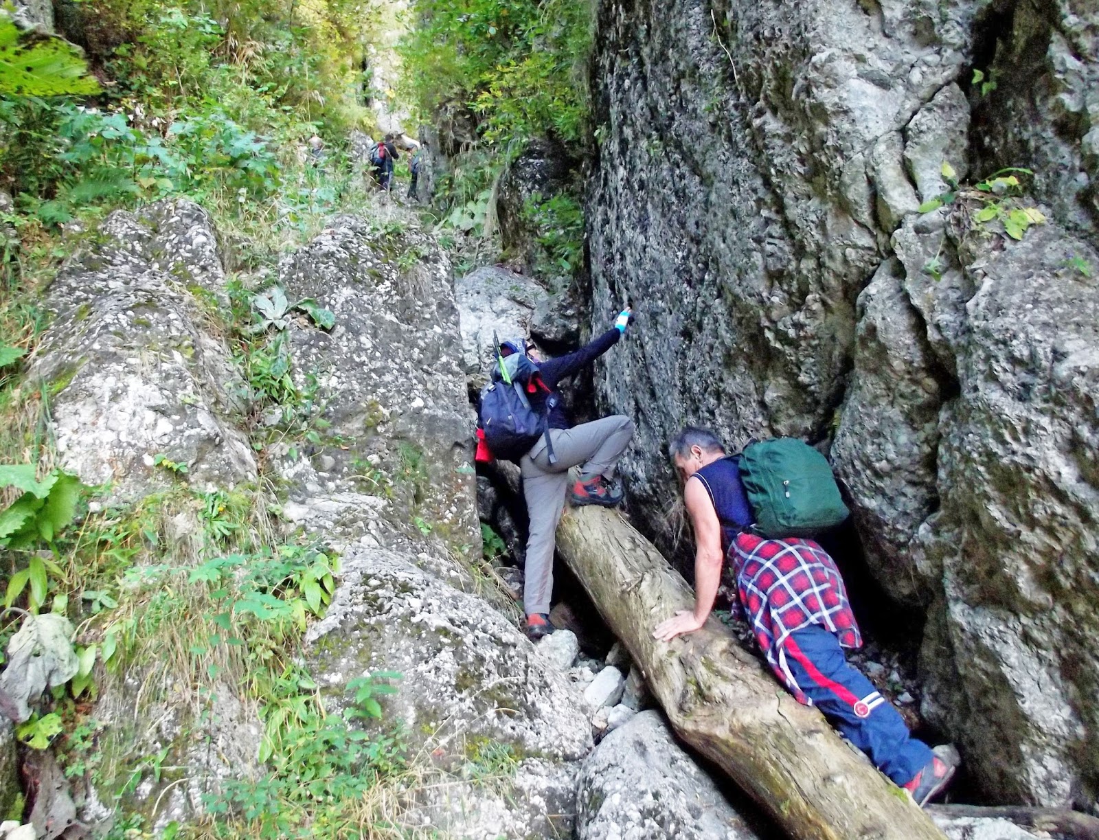 Blog de Calatorii si Drumetii Montane.: BUCEGI (Valea Seaca dintre Clai ...