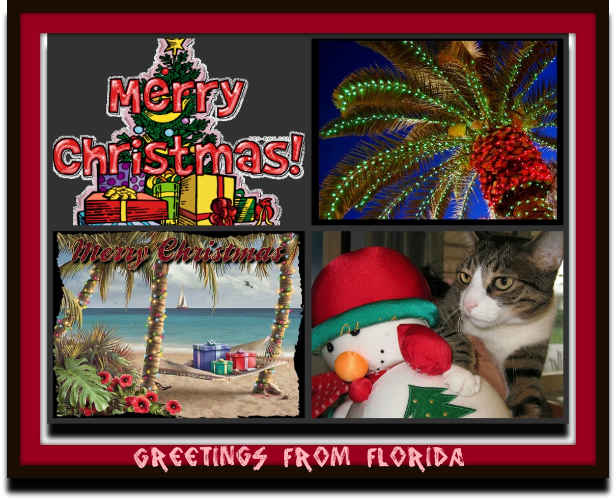 Nadiya...Loving Every Moment: A Florida Greeting...