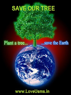Save Tree Whatsapp Status, Quotes, Slogans, Shayari SMS And images ...