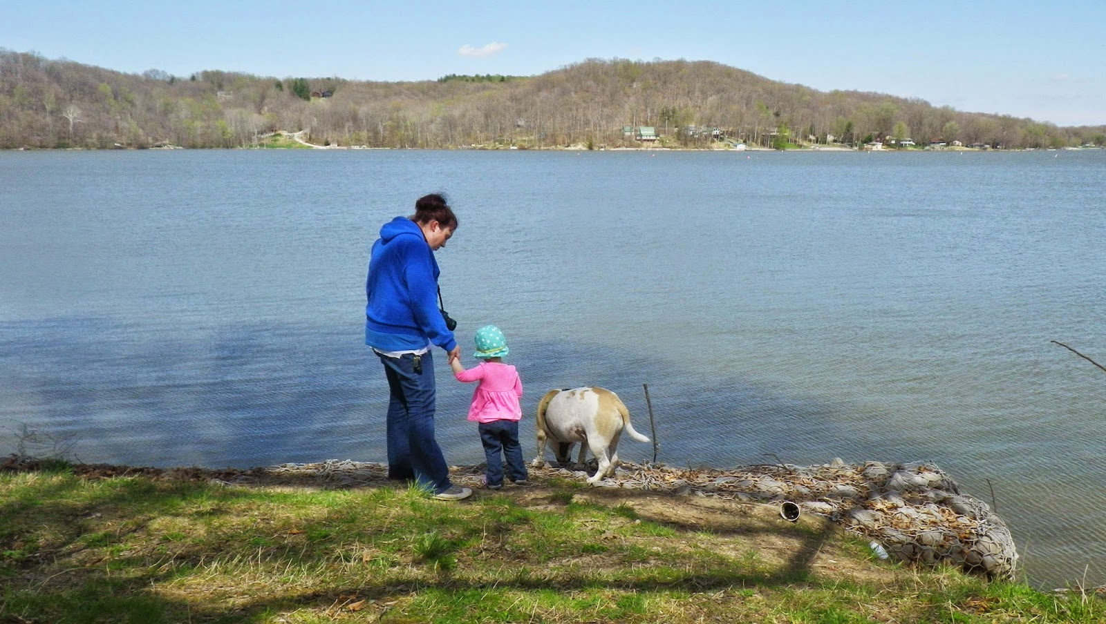 Home Waters: A Fly Fishing Life: Lake Lemon Report: Tops