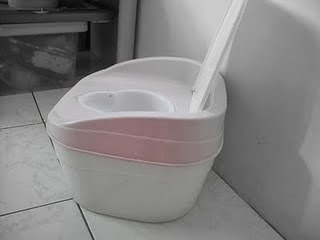 Potty Training Part 4 ~ I Am Your Every Woman