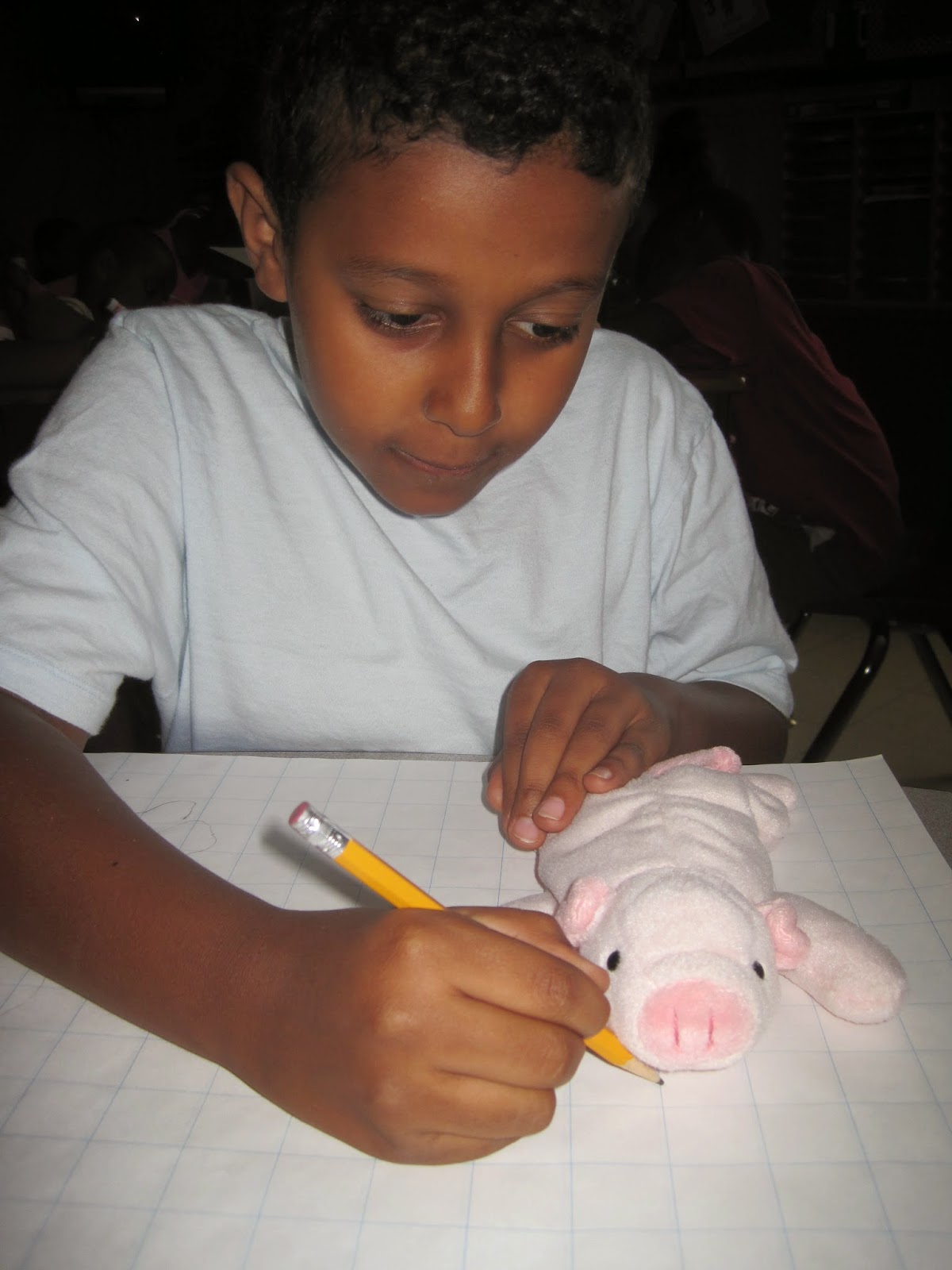 Flamingo Fabulous: Measurement Fair!