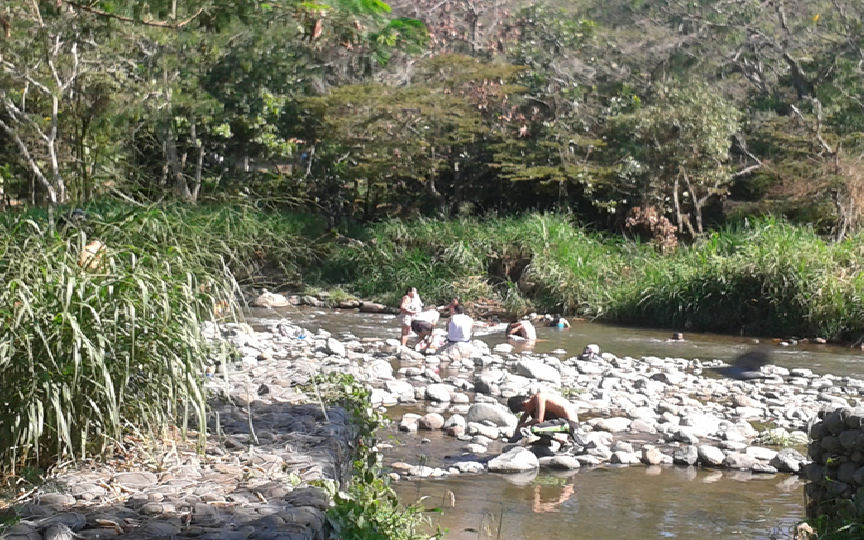 BIODIVERSIDAD CALI742: RIO PANCE BIODIVERSIDAD