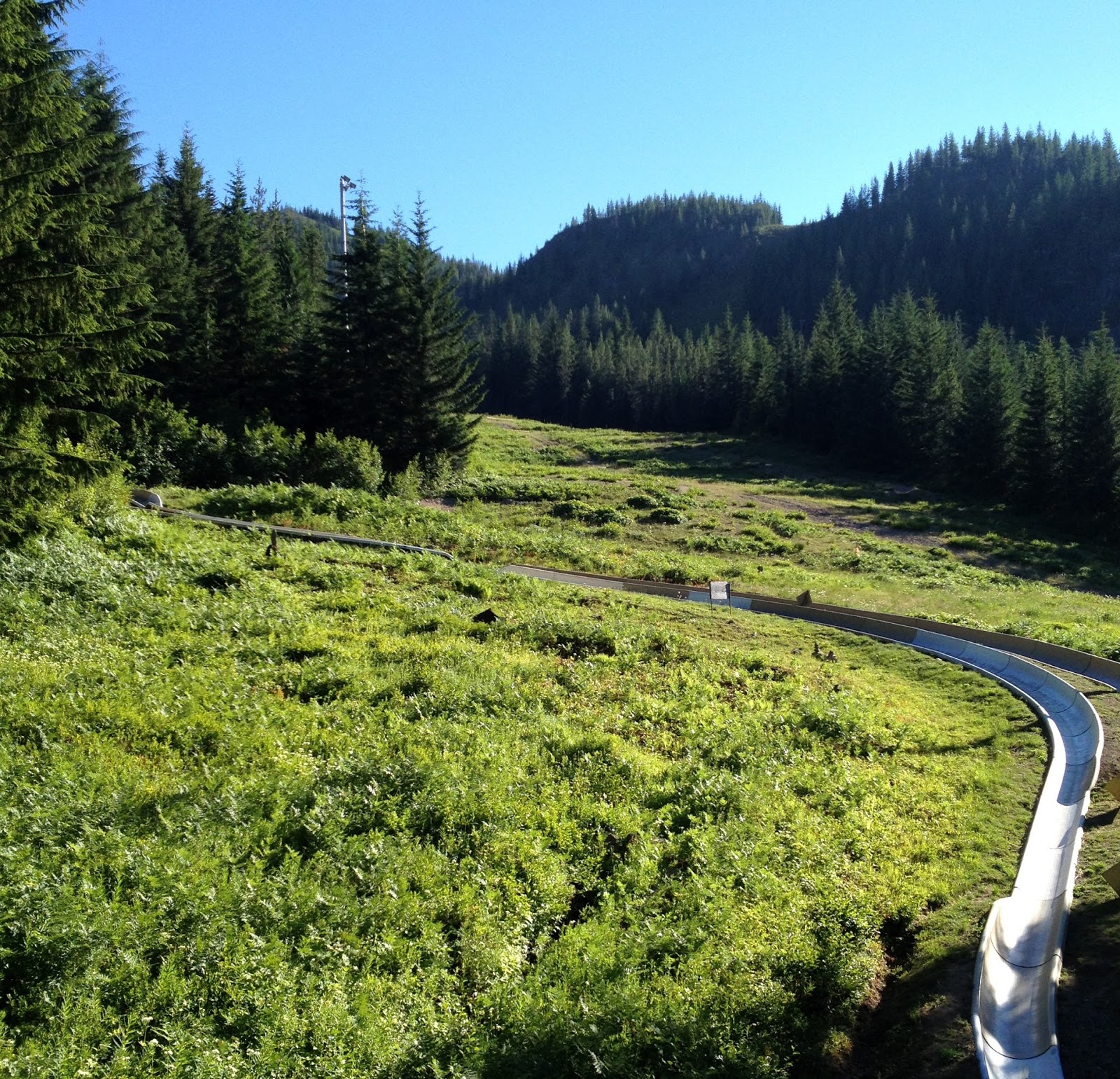 her lovely nest.: bidding our Portland summer adieu.