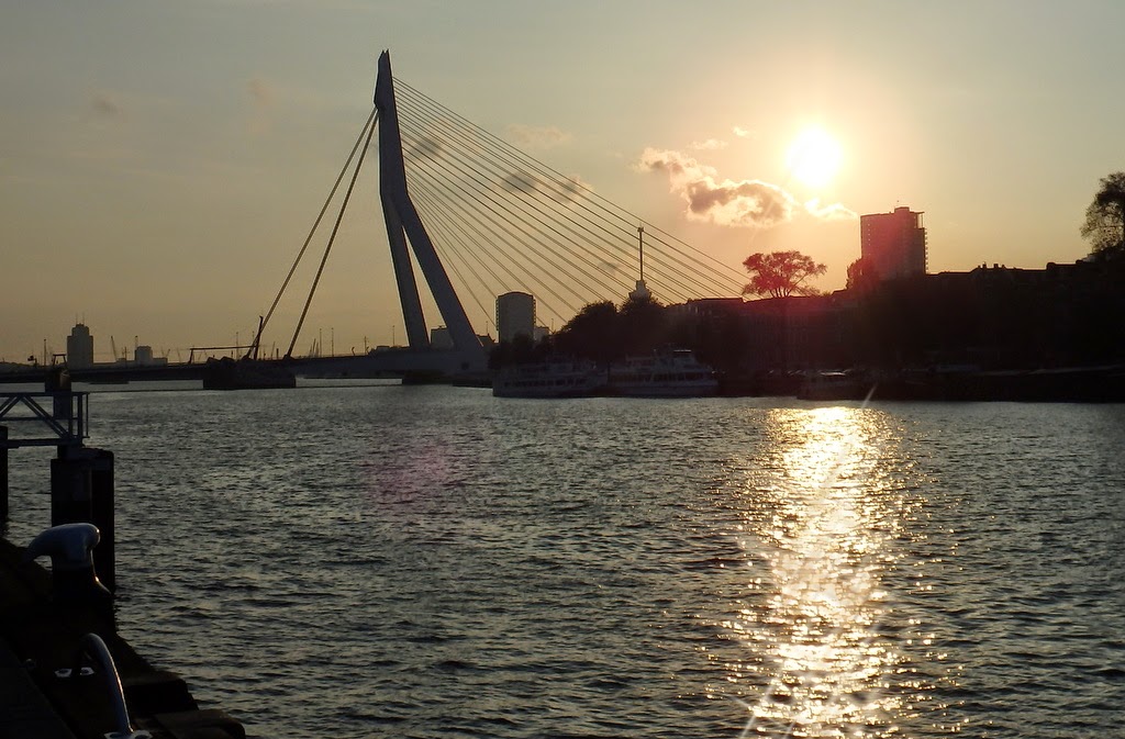 Natuur en Landschap..: ROTTERDAM