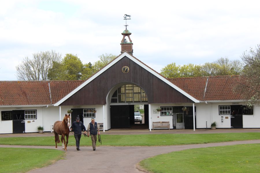 The National Stud Tour, Newmarket... 2017