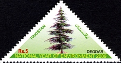 lovepakistan: National tree "Deodar Tree" of Pakistan