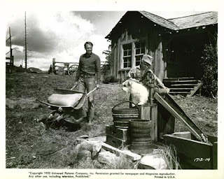 .: The Lone Hand - George Sherman - 1953
