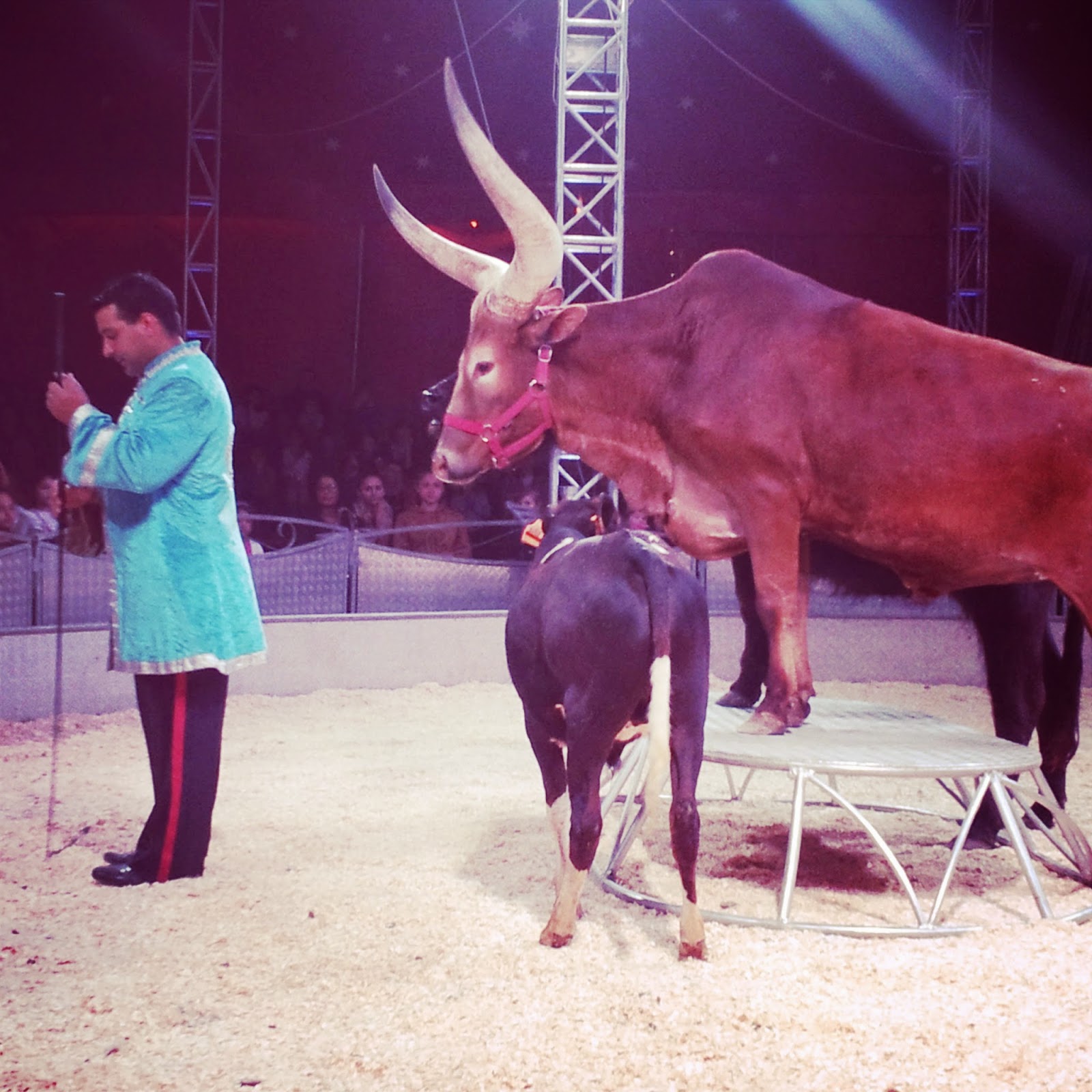 By Mode Pumky miss bon plan : Le cirque Muller