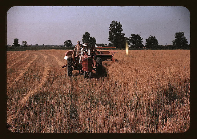 19 Amazing Color Photos of American Farmers in the early 1940s ...